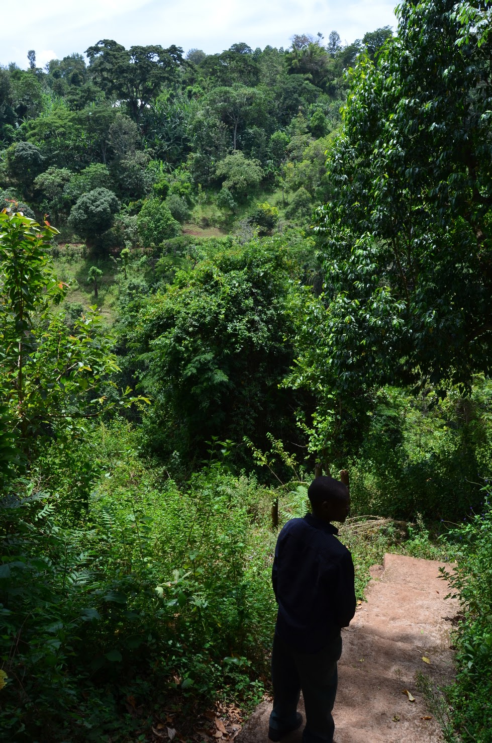 Times in Tanzania: Marangu: Marangu Hotel and Ndoro Waterfall