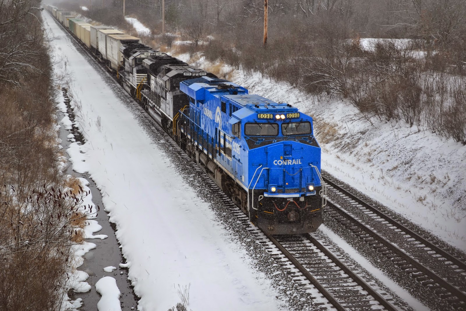 Adena Railroad: More Norfolk Southern Heritage Units
