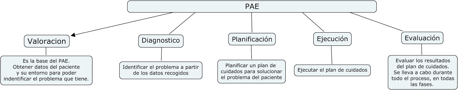 Nurse Things ┣ ═──────: Fases del PAE