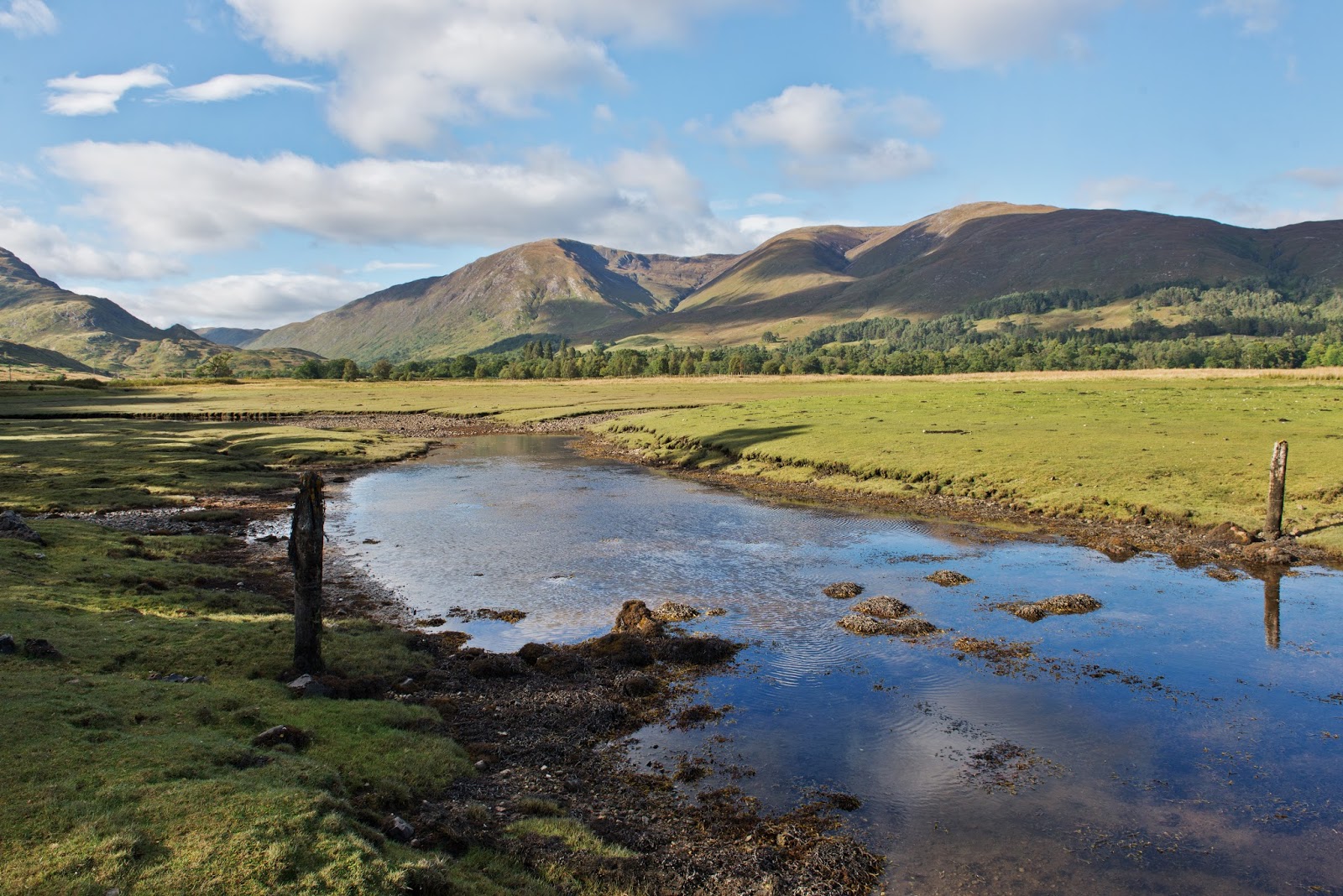 Wigtwizzle - Norman Smith's Travel Blog.: Going Home