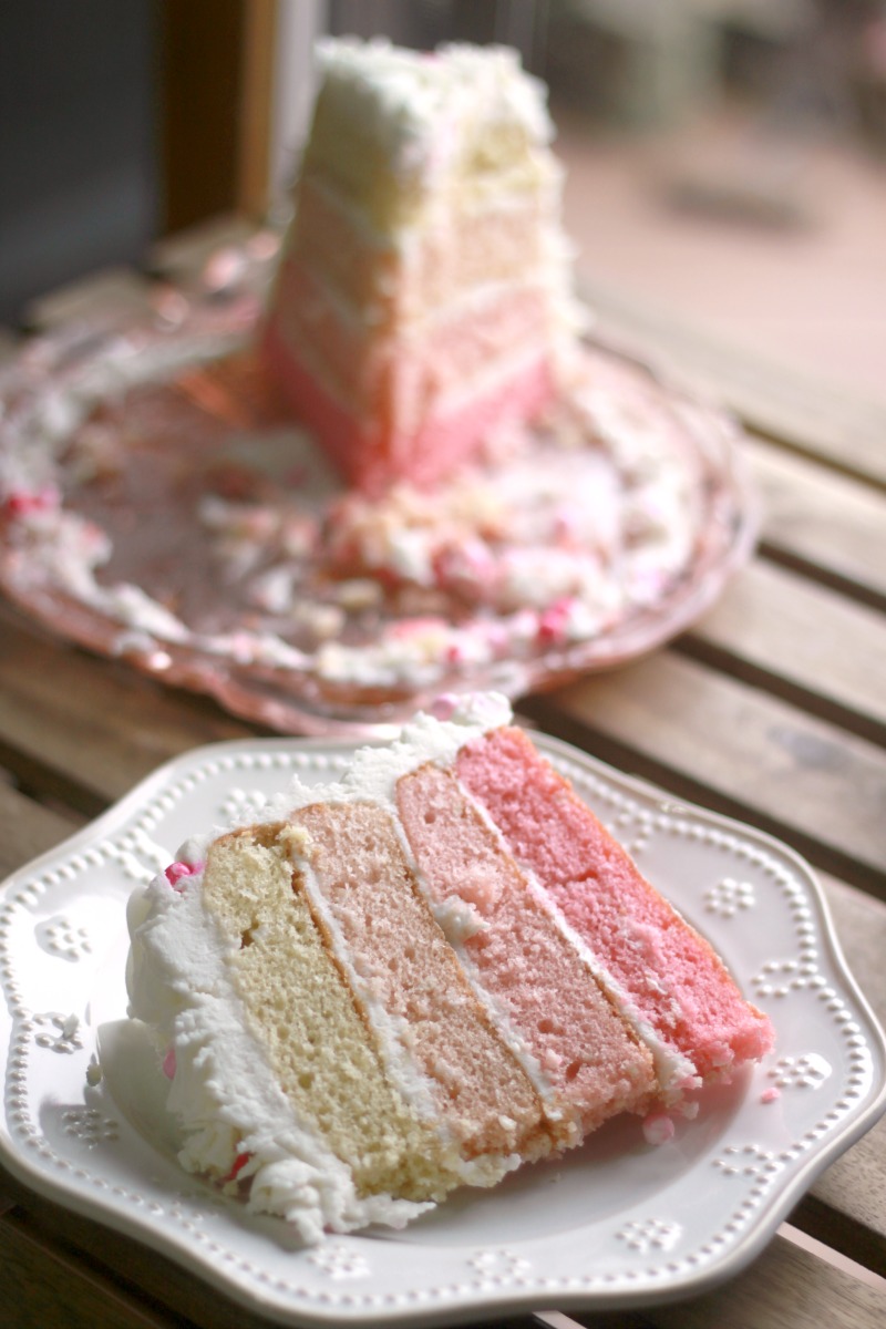 Amanda's Birthday Cake | Crazy for Cookies and More