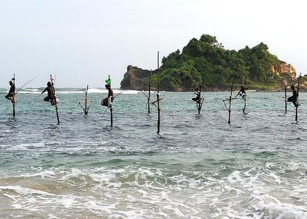 Cara Memancing Ikan di Pantai yang Unik | Taman Bacaan Online