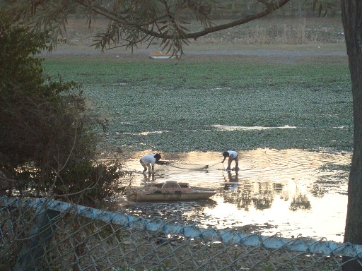 Lakes In Bangalore: Kengeri Lake