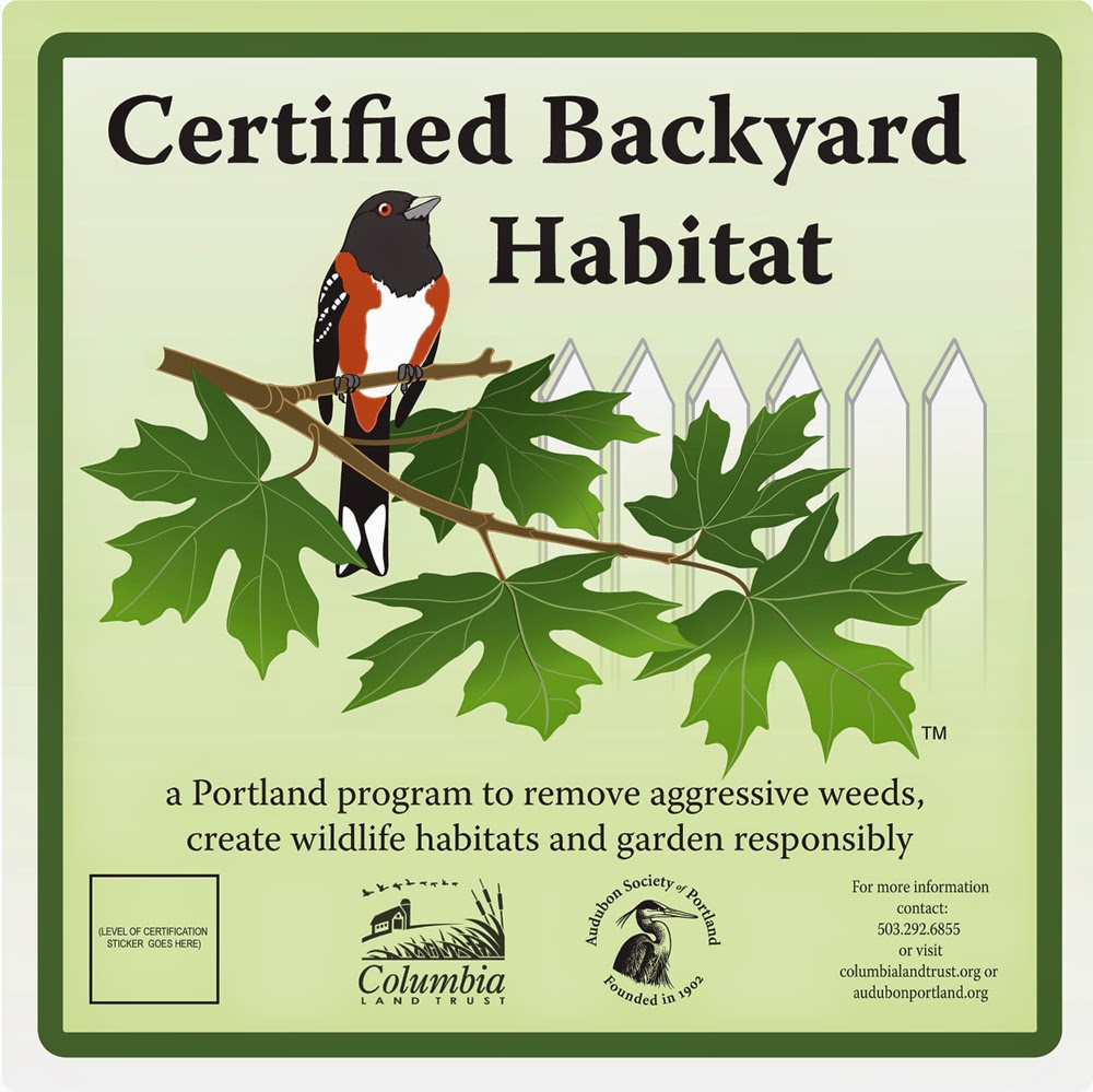 Creating Habitat in Your Backyard: Backyard Habitat Certification Program