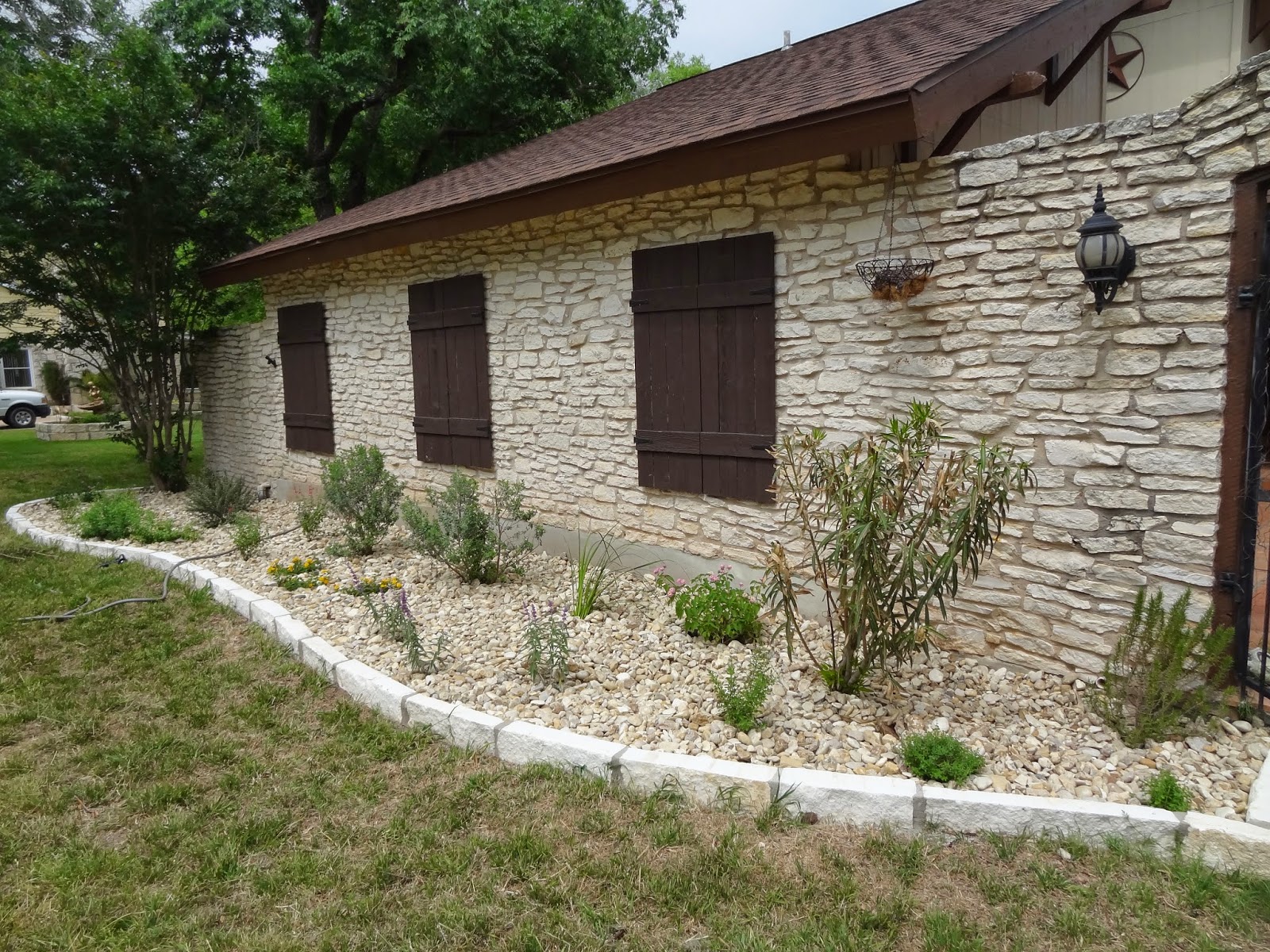 Rebecca's Texas Garden: Front Yard Landscaping
