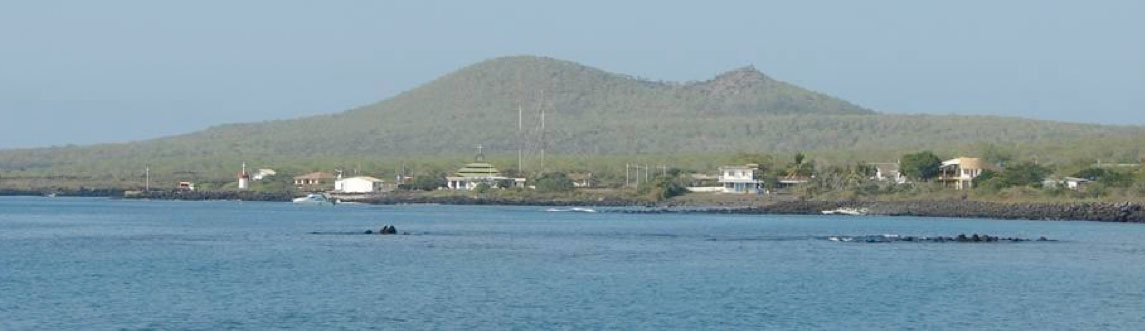 TARA EXPEDITIONS en español: Proyecto de restauración del ecosistema de ...