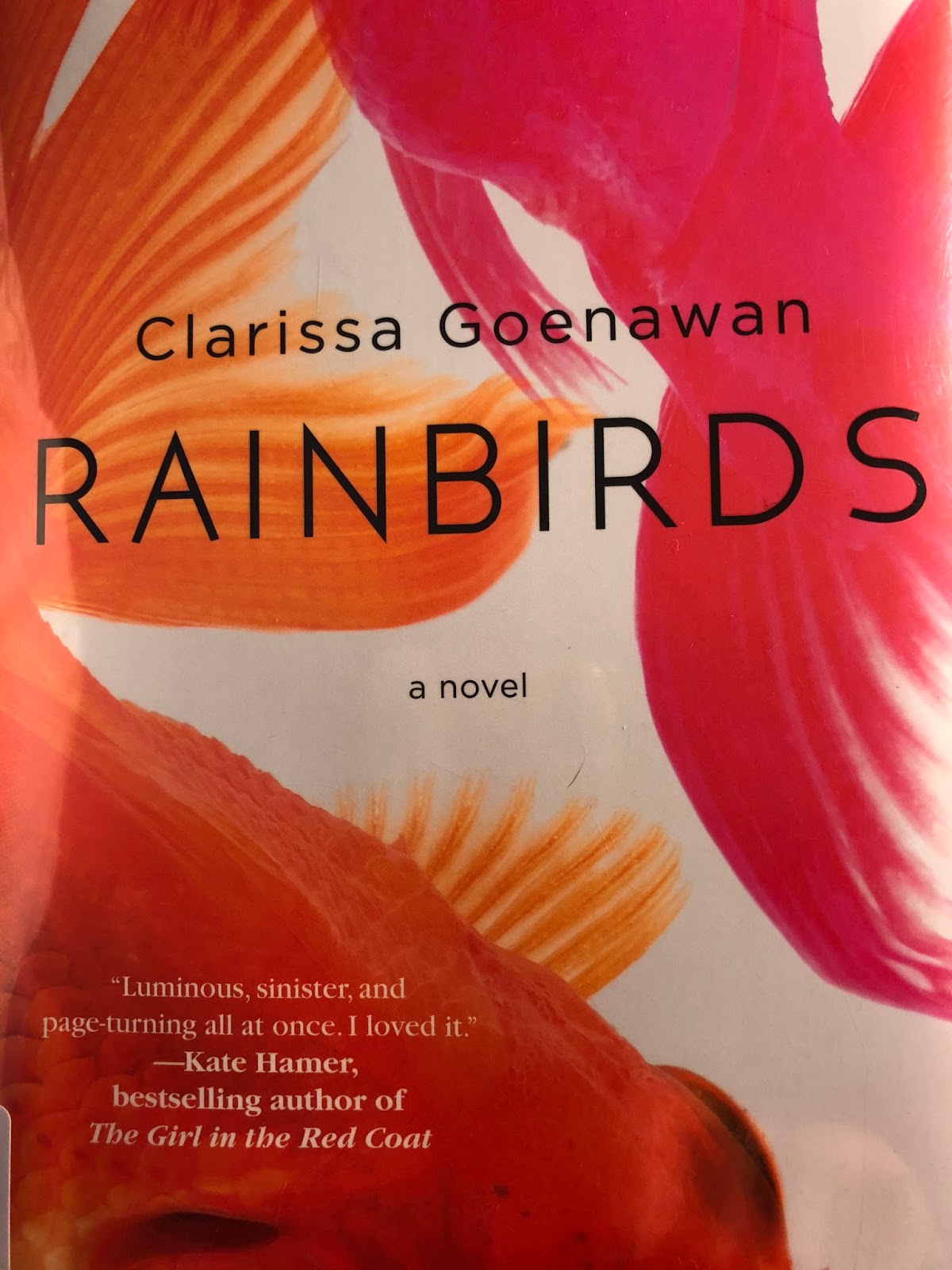 Bibliophile By the Sea: Rainbirds; Clarissa Goenawan