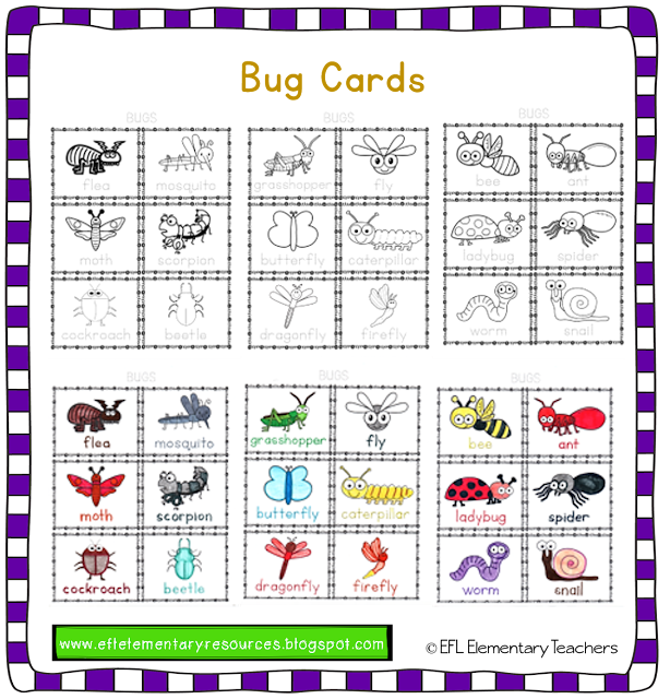 EFL Elementary Teachers: Insects Unit for Elementary ESL- part 2.