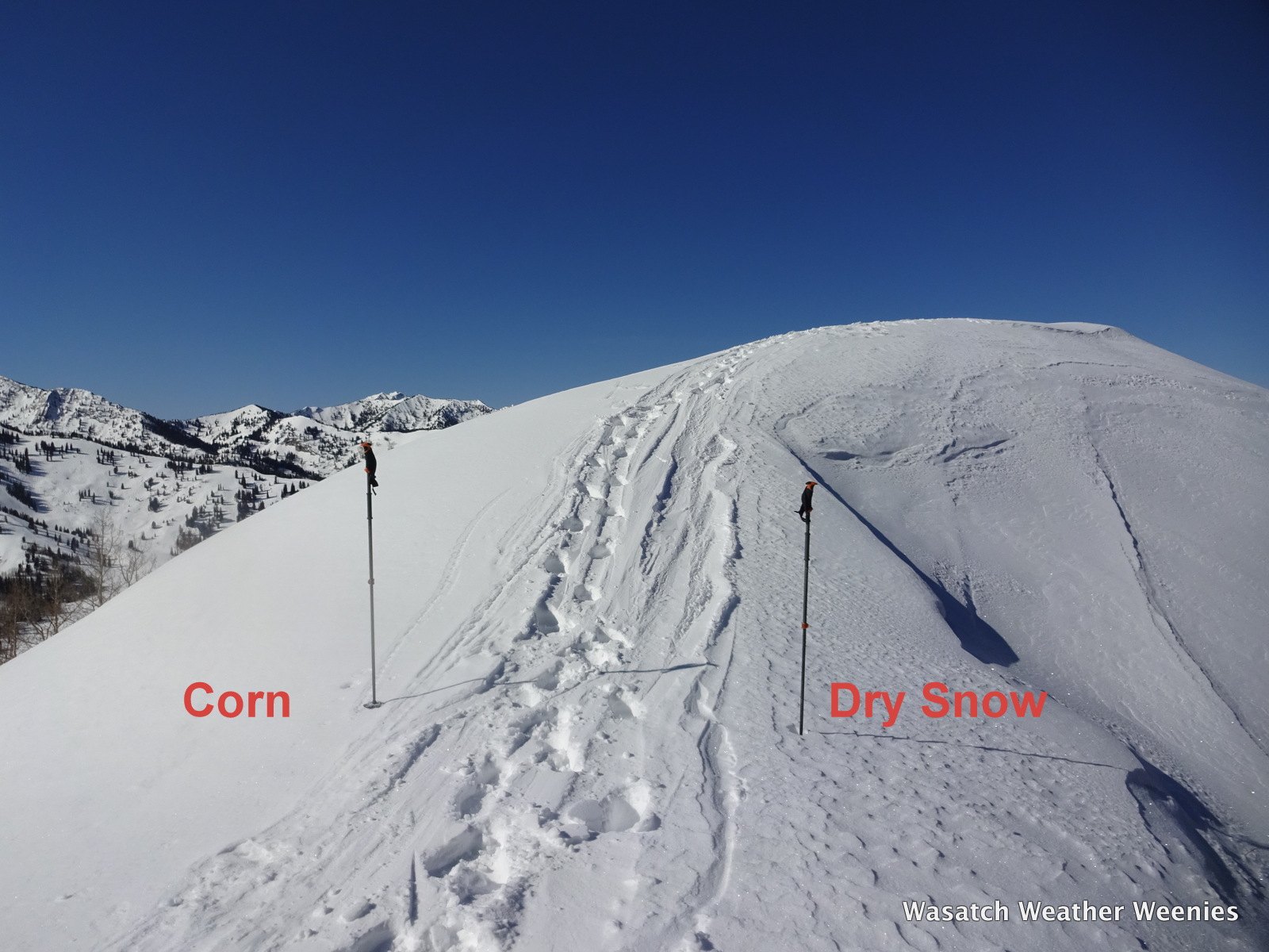 Wasatch Weather Weenies: Aspect Is Everything