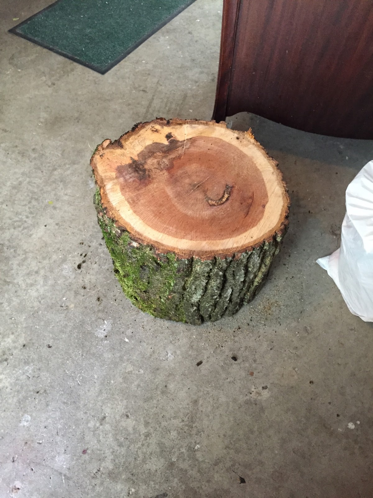 Old at Heart: DIY Stump Table: Part One