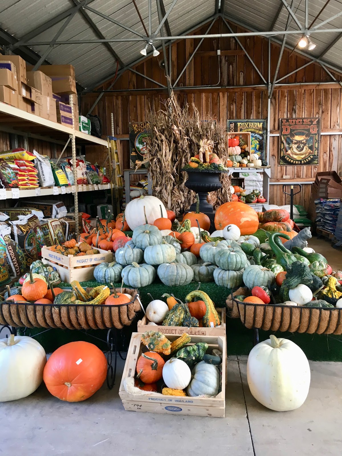 THE FRENCH HUTCH: FALL DECORATING IDEAS