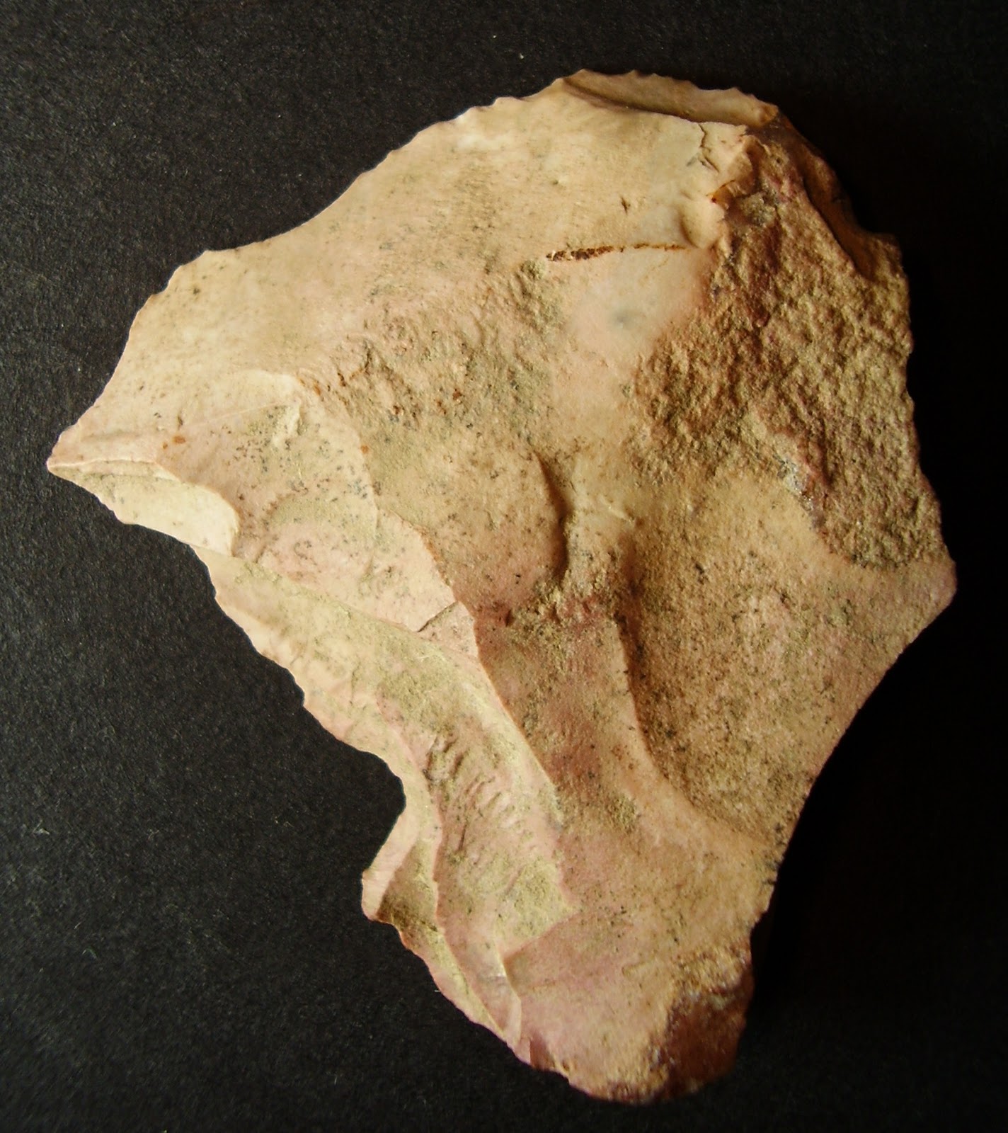 Archaeology of Portable Rock Art: Turkey head figure stone, including ...