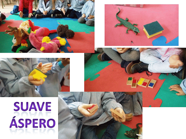 Y AHORA QUÉ?: QUÉ SUAVE!!!