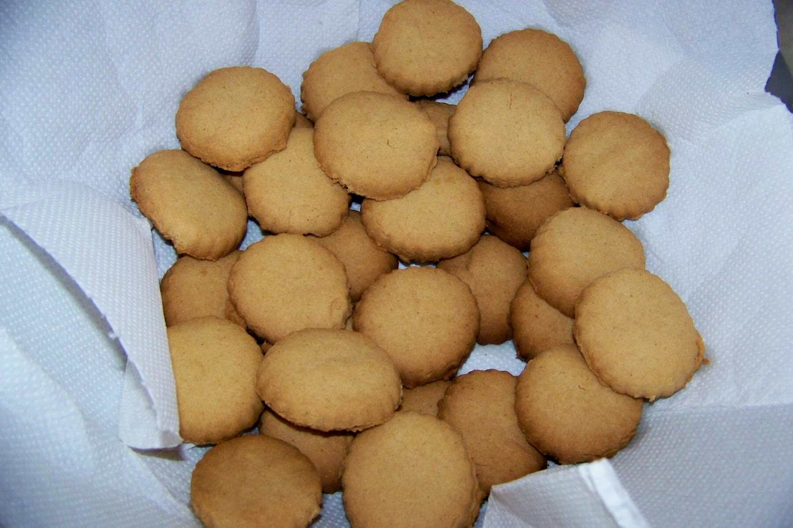 Bienvendidos: coricos