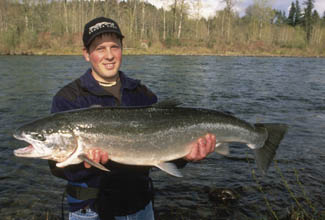 The Endangered Organisms of the Sea: Endangered Species of the Pacific ...