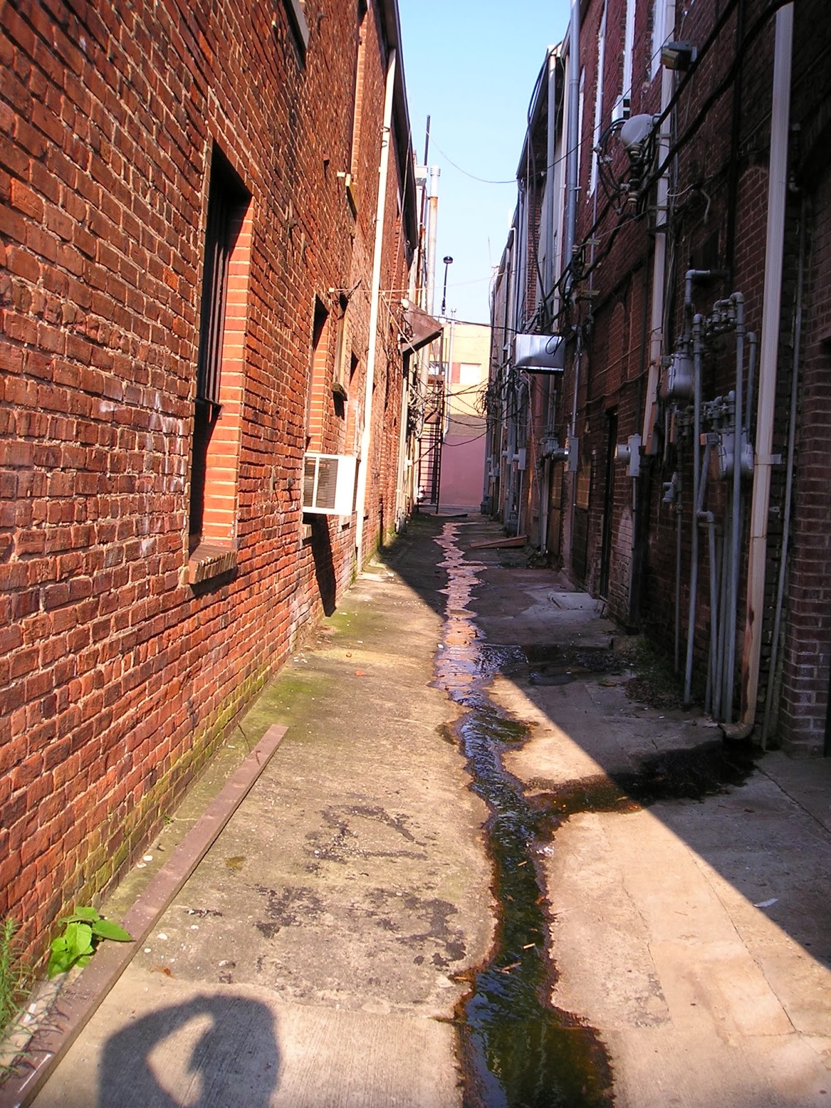 Chicken Fat: Alleys in Downtown Marietta