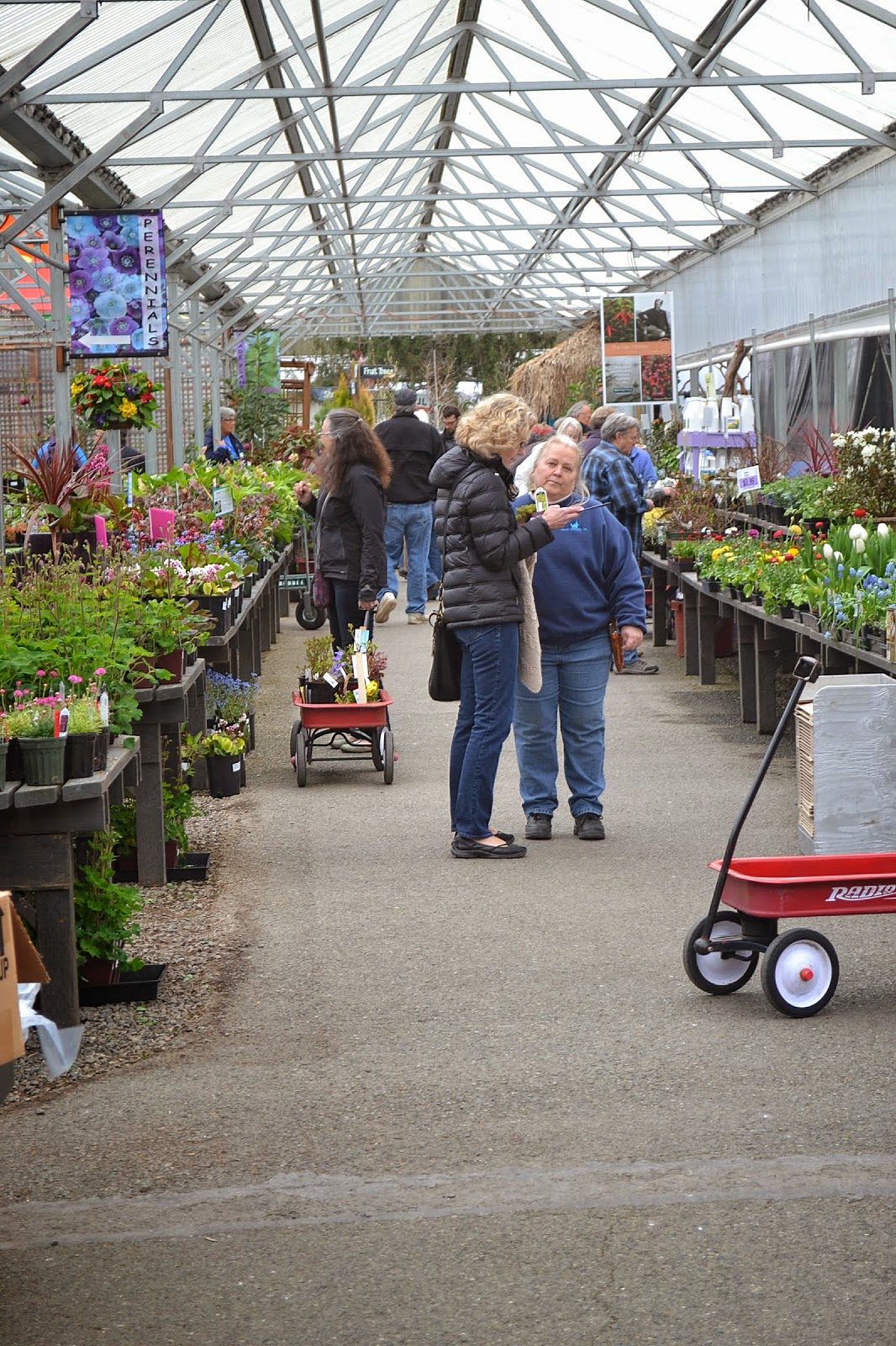 The Outlaw Gardener: Visiting Valley Nursery