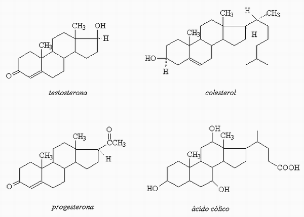 blog-bioquimica: Lípidos y Membrana