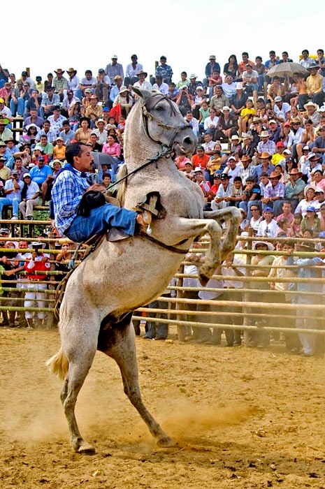 Fascinating Humanity: Scenes Of An Ecuador Rodeo