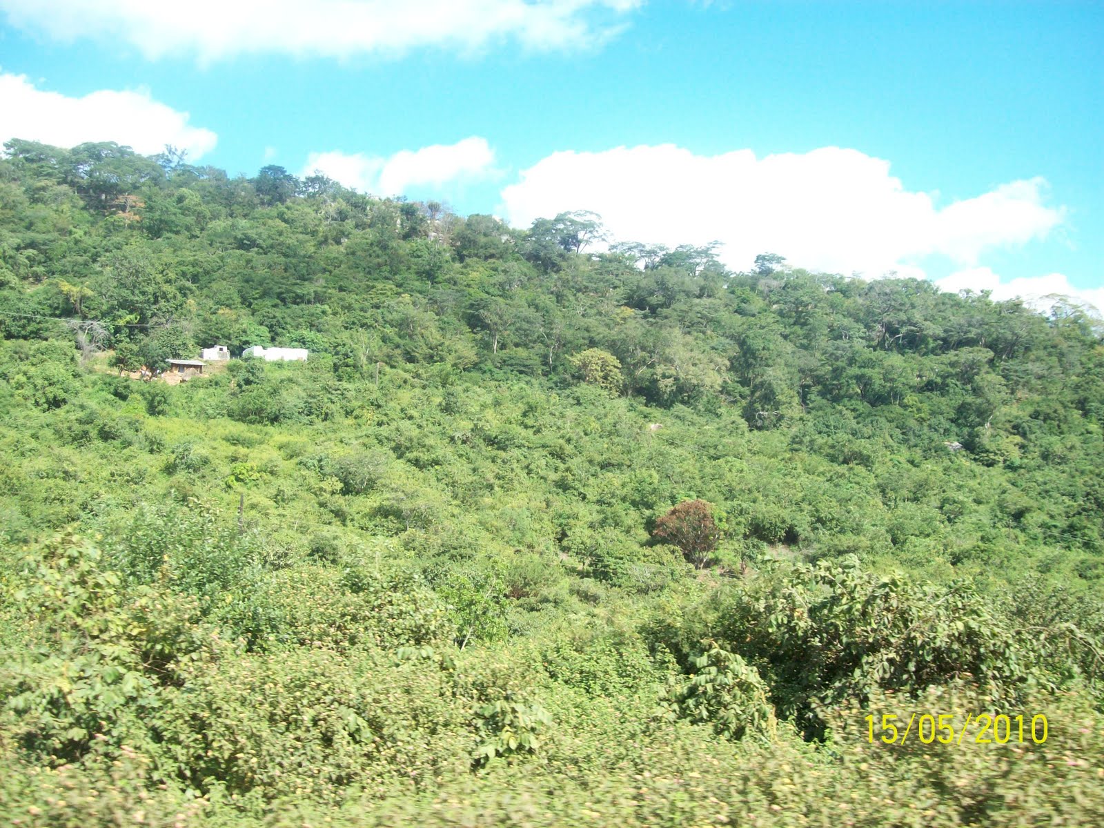 Gestão Ambiental Planificação e Desenvolvimento C: Escurvao barragem ...