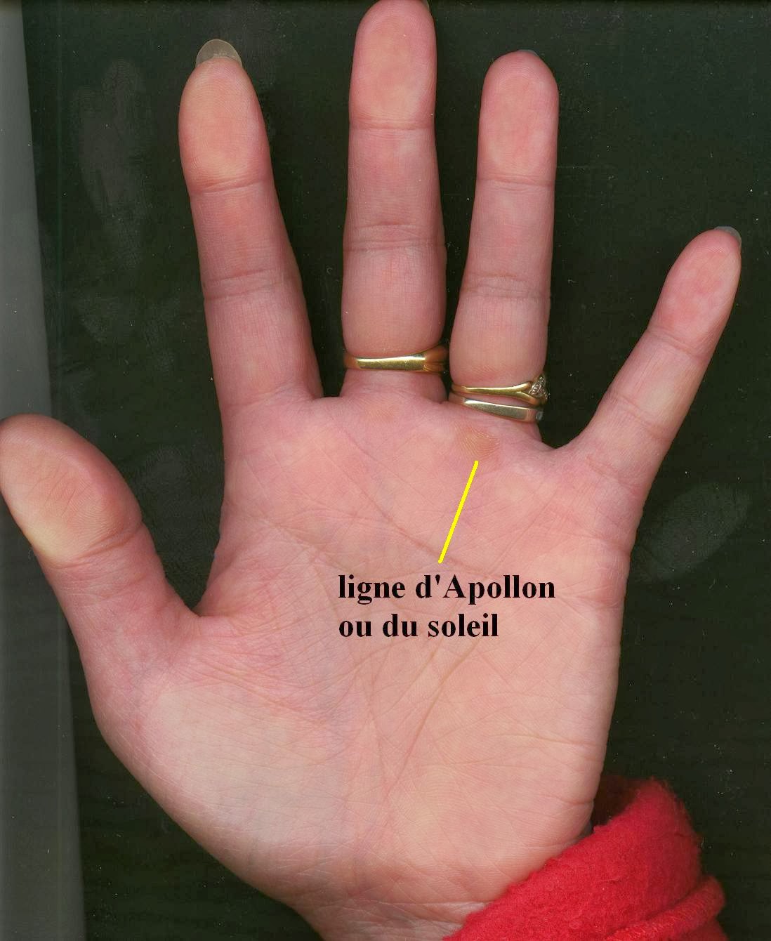 Chiromancie par Nga Le Thanh: ligne du Sloleil