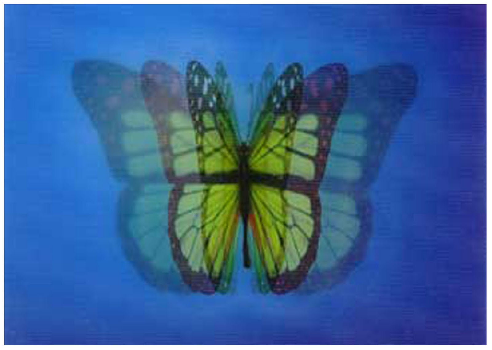 Unit 7 - "Pathways to Fairy Lands": Lenticular Lens