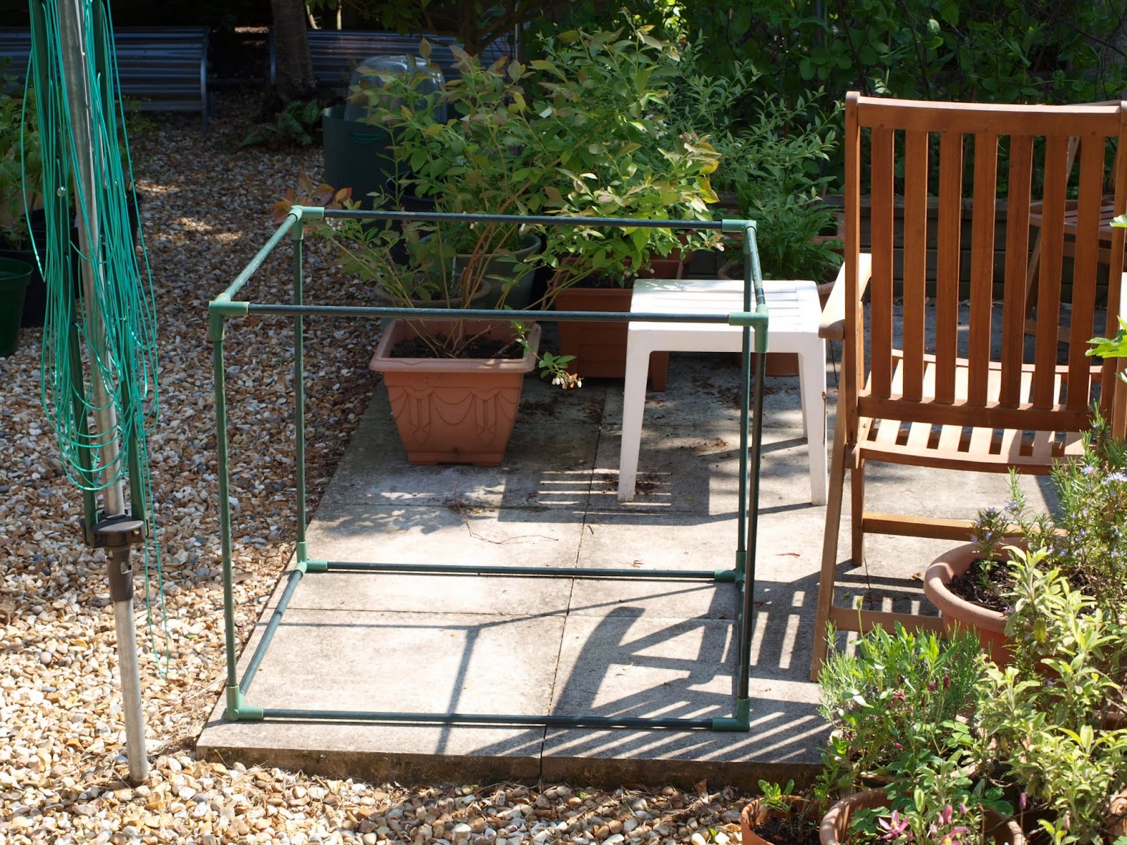Mark's Veg Plot: Making a Strawberry cage