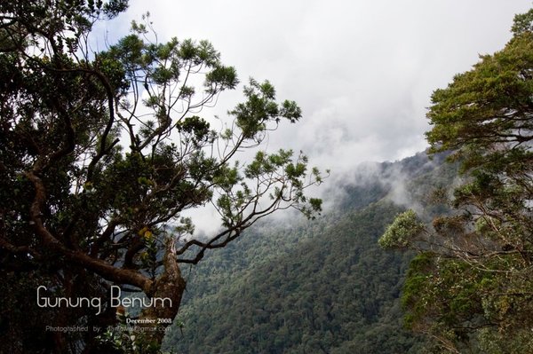 Dan's Den: Gunung Benum 2,107m