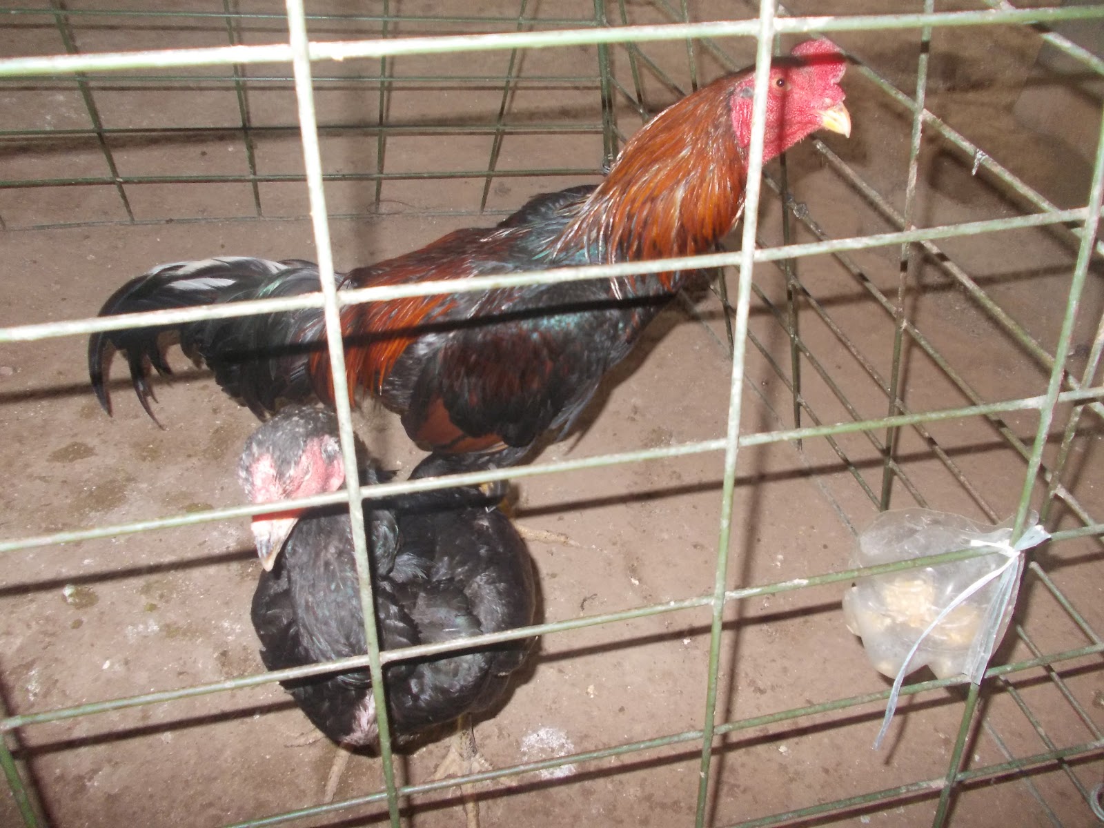 SELAMAT DATANG KE LAMAN BLOG