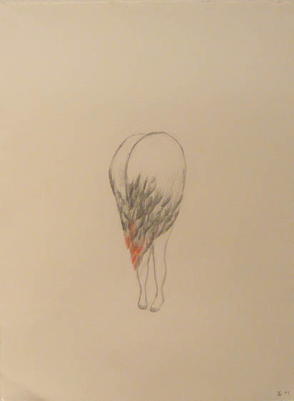 YiwonPark,Visual artist in Sydney: Tim Olson Drawing prize 2010