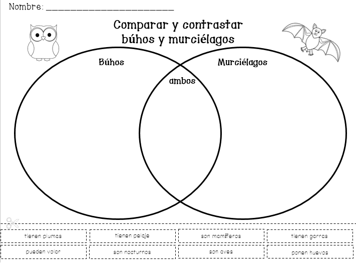Enchanting Classroom: More and More Bats!