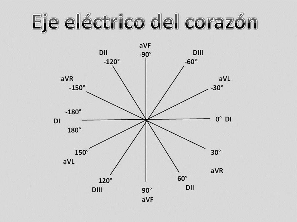 Descubriendo el universo de la fisiología... : Eje eléctrico