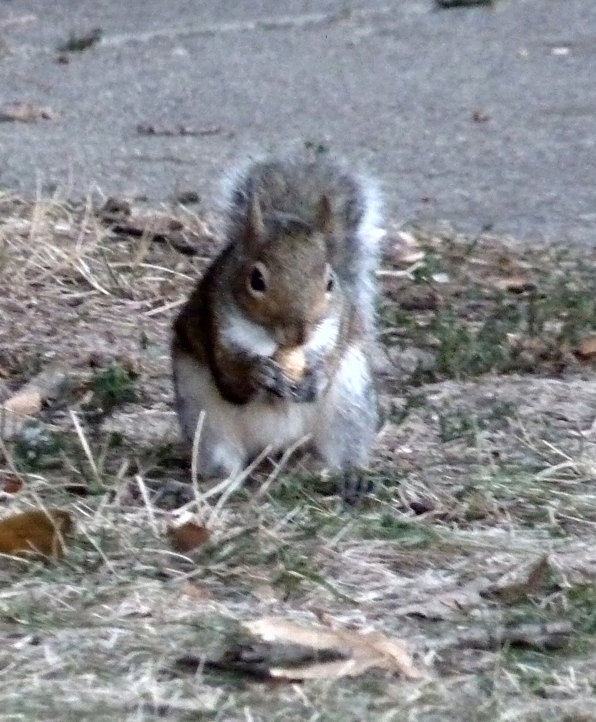 The Greenbelt: Day Fourteen: Marion to Independence