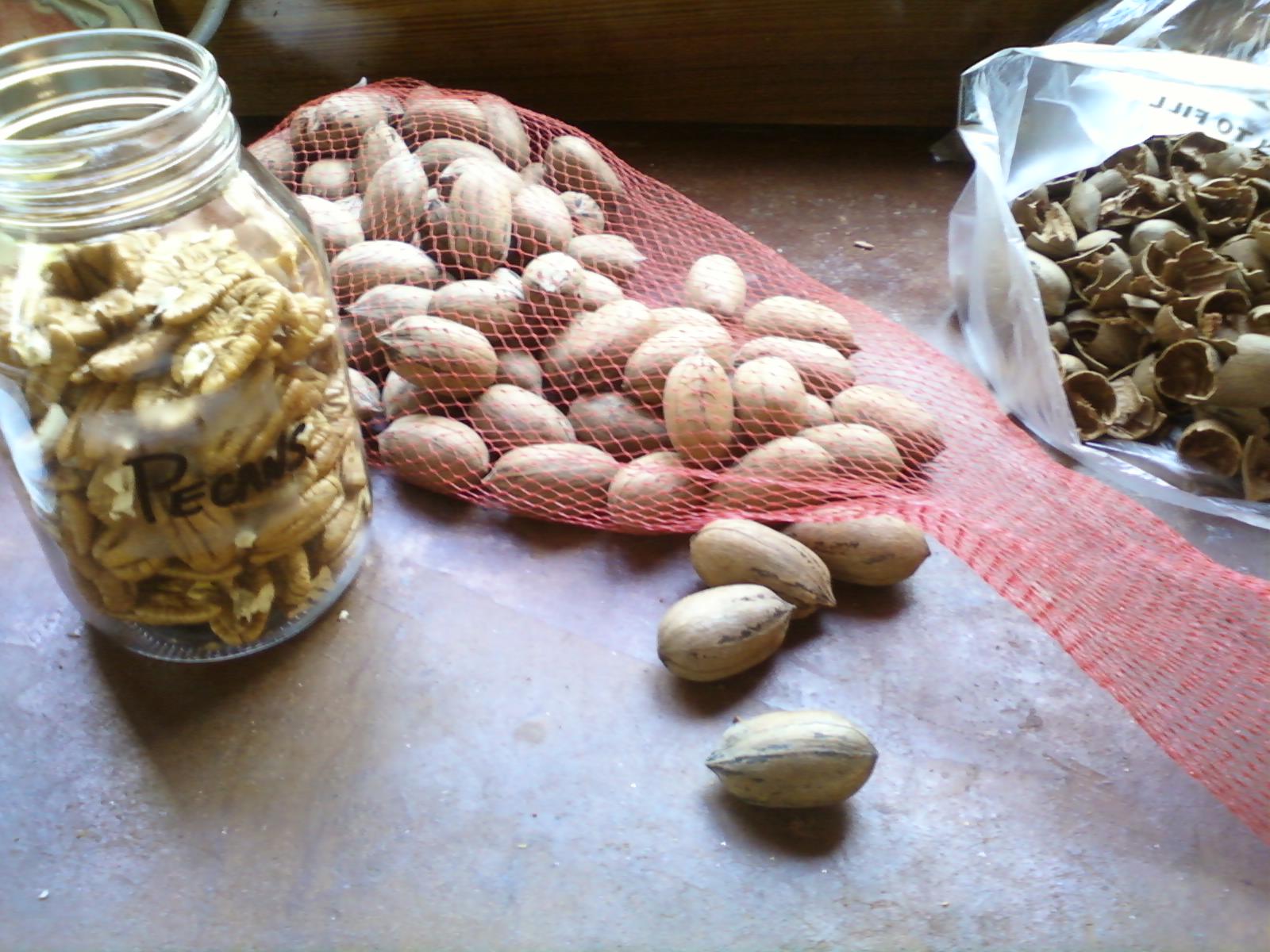 Eye Candy: October 2012