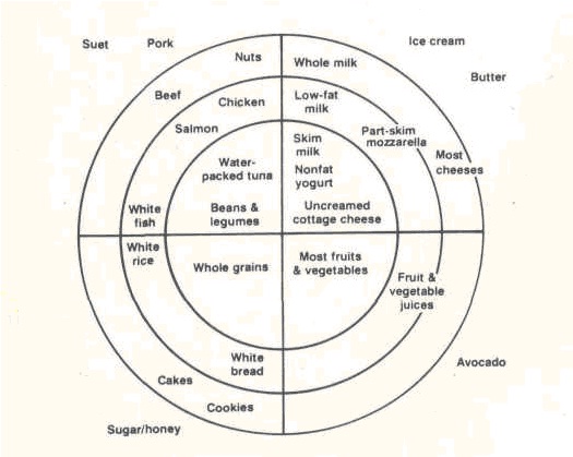 The Fit or Fat: What is the Food System?
