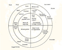 The Fit or Fat: What is the Food System?
