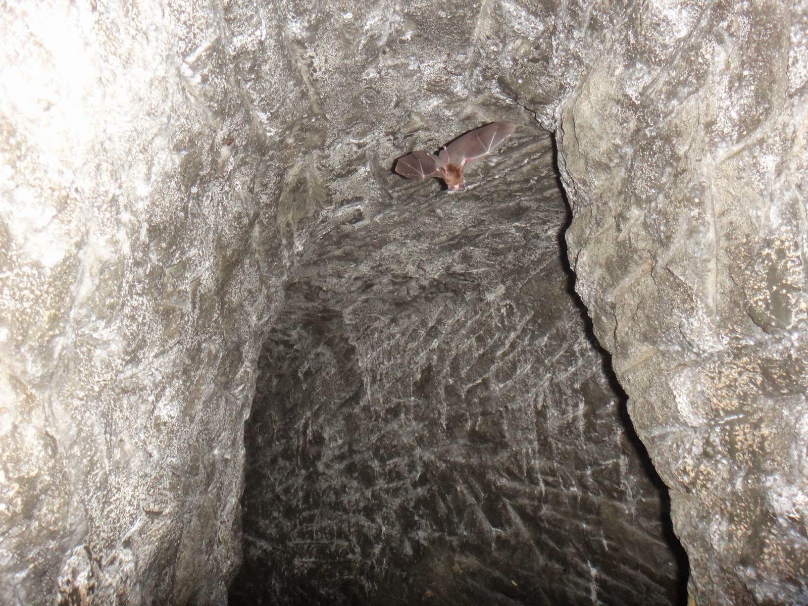 Taiwan Taichung Mission, 2013-16: 8-2-14 Bat Caves and Waterfalls!