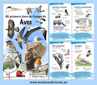 DIARIO DE UN NATURALISTA por Víctor J. Hernández: Mi primera Guía de ...