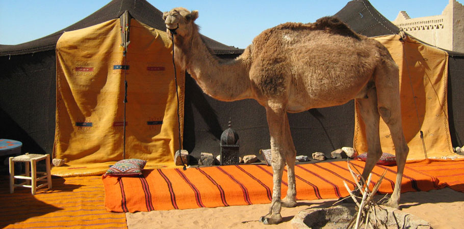 THE VIEW FROM FEZ: September 2012