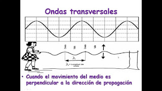 ONDAS: LONGITUDINALES Y TRANSVERSALES