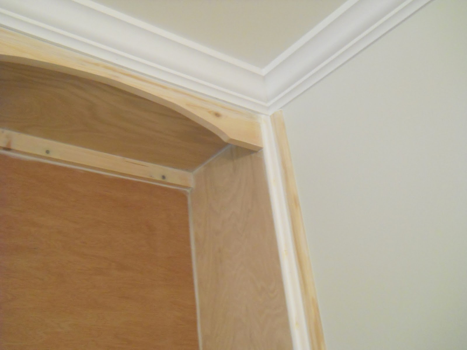 1001 Goals: Built in bookshelves for our library