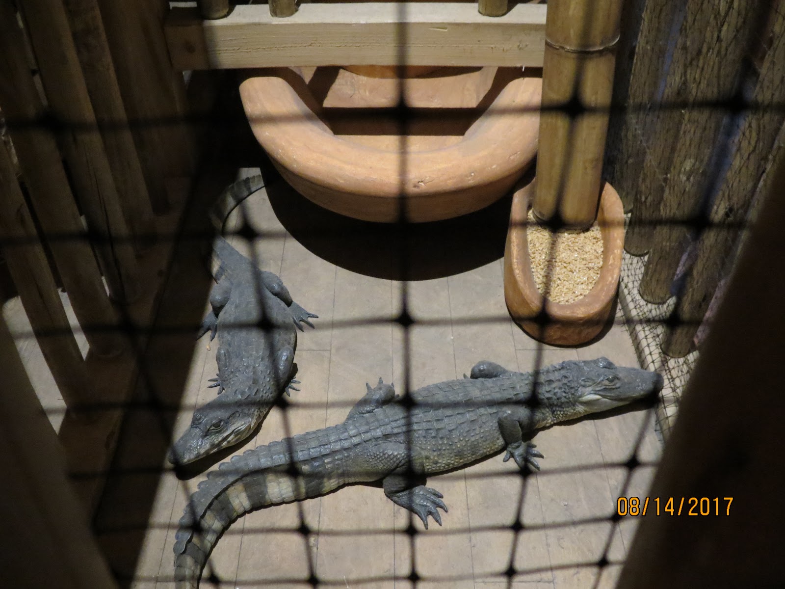 Grandpa Bill and Black Beauty Travel: Ark Encounter, 8/14/2017