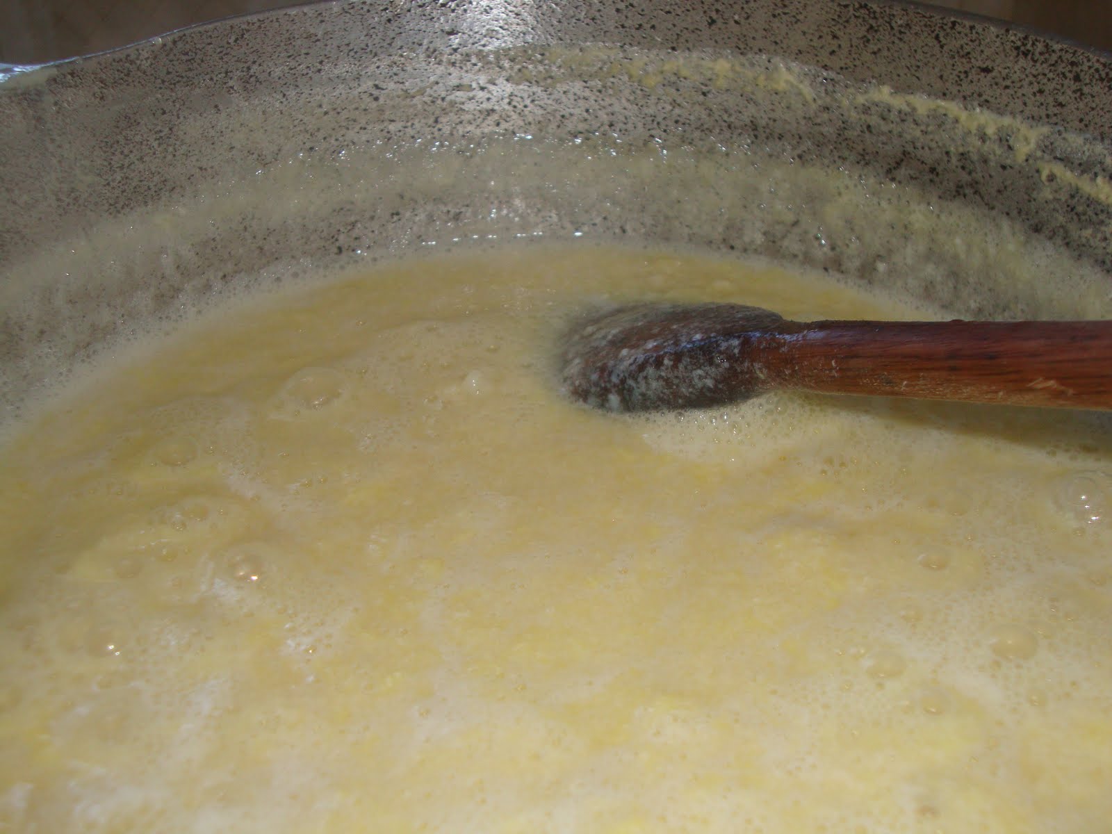 Do meu pomar na Serra: Finalmente o leite talhou, ... yessssssss!!!