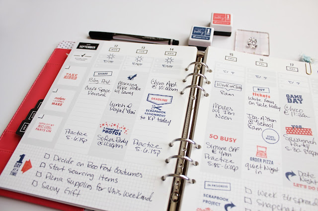 The Picinic Basket: Featuring Kelly Purkey │ September release