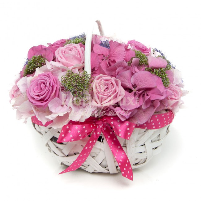 MARIA MAGDALENA: MULTUMESC DOAMNE