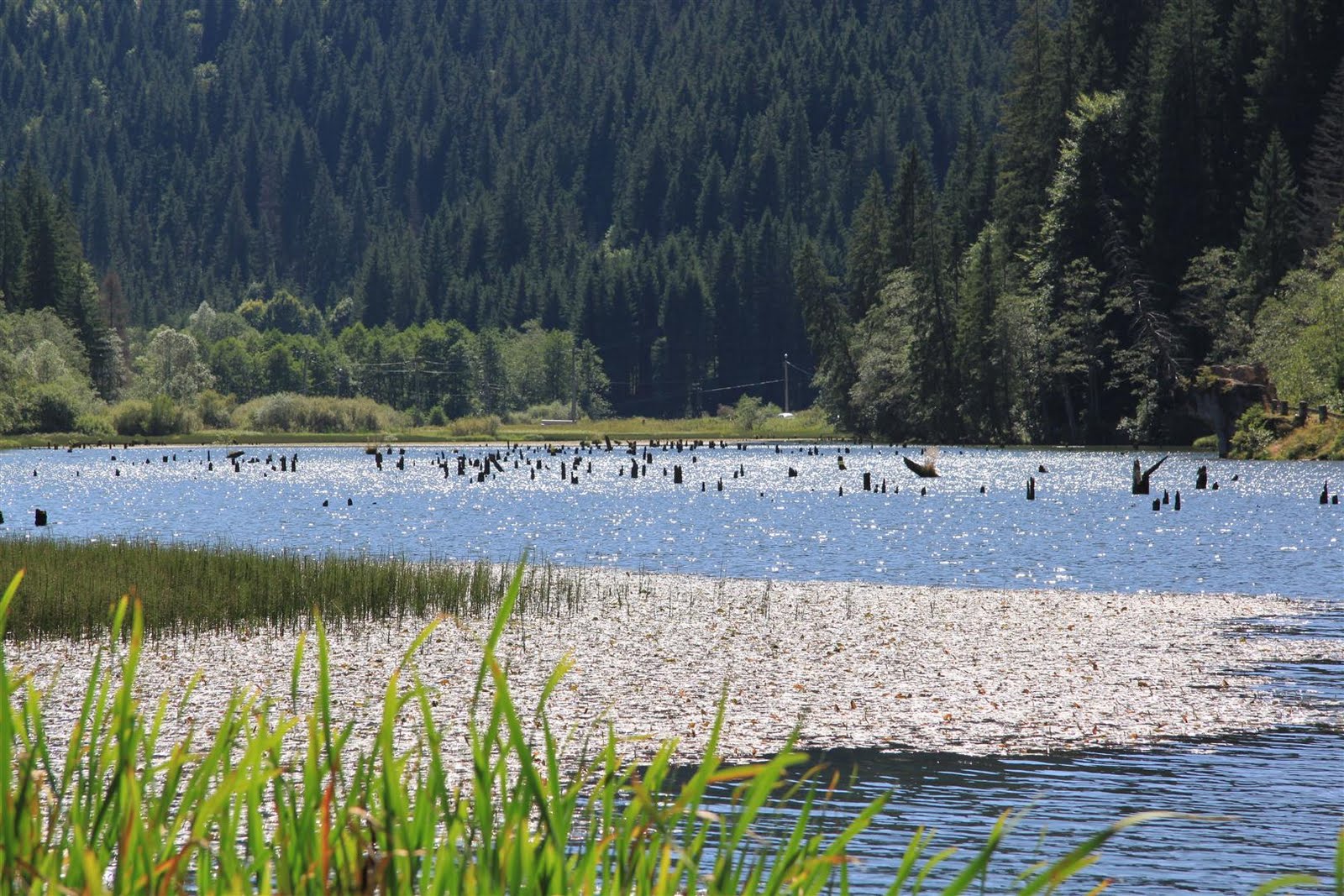 Bicaz Gorge and Lacu Rosu | Europe By Camper - Travelling Europe By ...