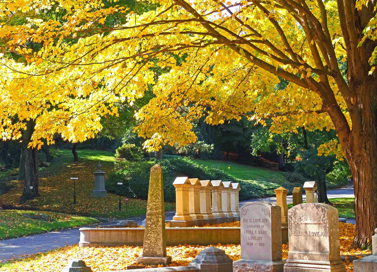 Joe's Retirement Blog: Mt. Auburn Cemetery, Cambridge, Watertown ...