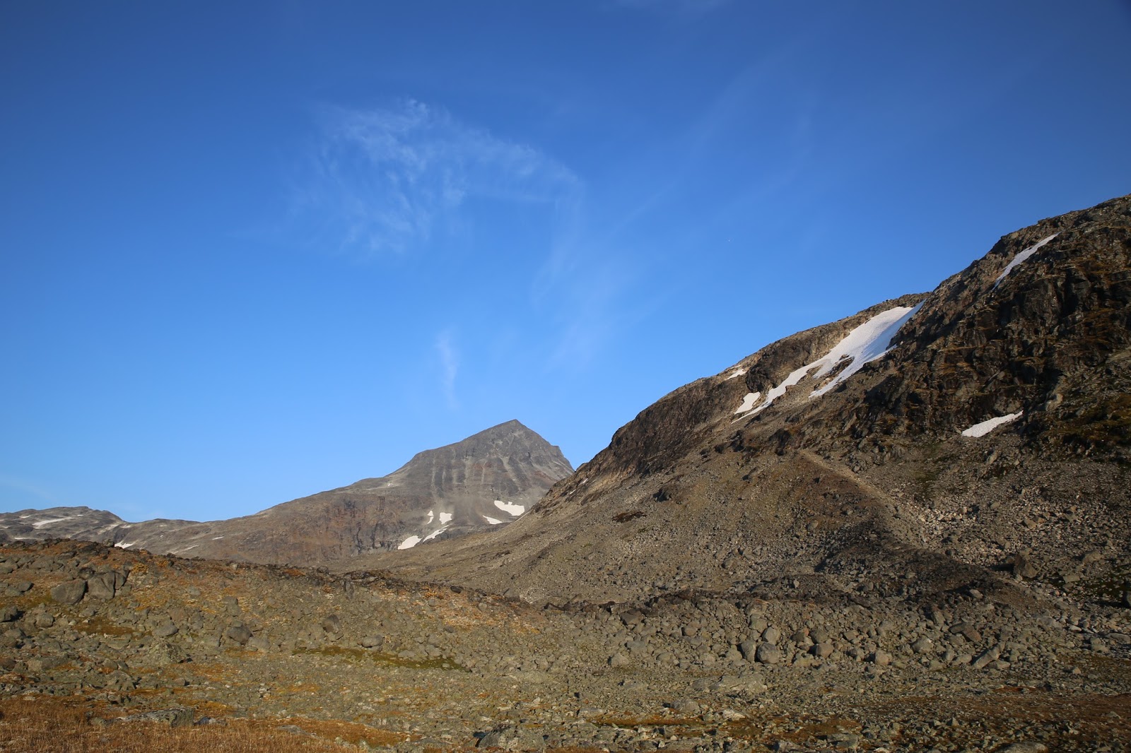 Naturviterbloggen: Fjellet som økosystem