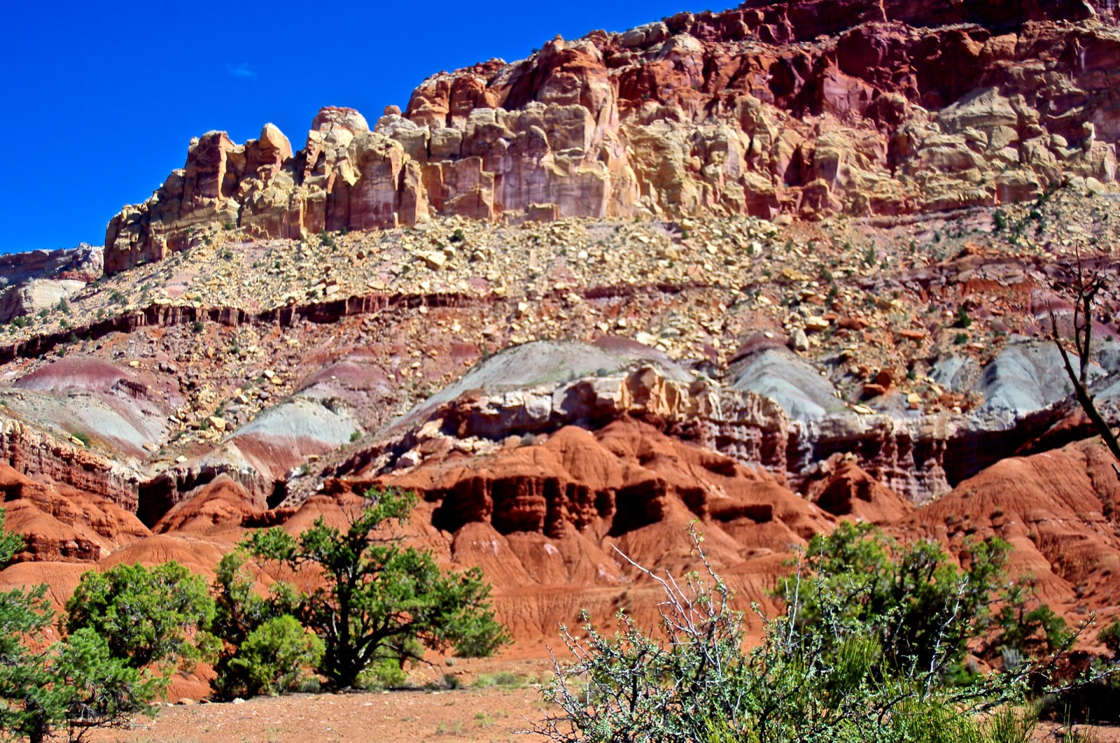 Champagne Wishes and RV Dreams: Utah Rocks!