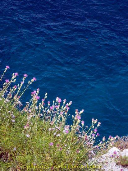 Homo Universalis: ΥΔΡΑ - ΦΩΤΟΓΡΑΦΙΚΟ ΑΛΜΠΟΥΜ ΤΗΣ ΝΕΛΛΑΣ ΘΕΟΤΟΚΑΤΟΥ